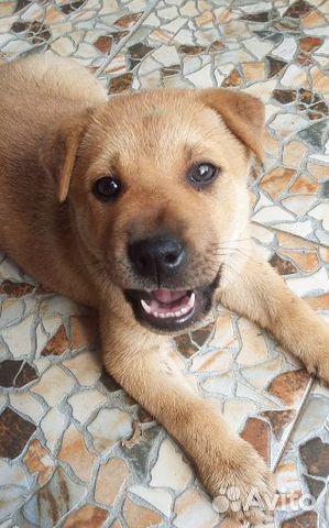 В добрые рурки