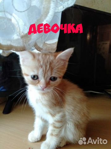 Малыши ждут