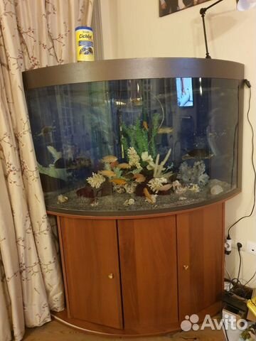 Аквариум+тумбочка от Аква Декор 550 литров