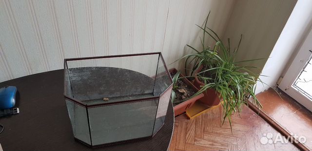 Аквариум 7-7.5 литра