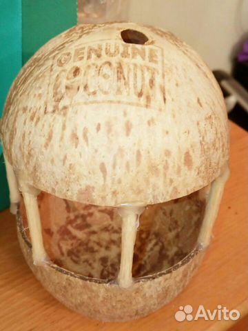 Грот для рыб из кокоса