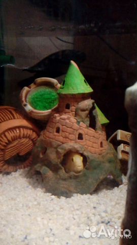 Аквариум 92 литра