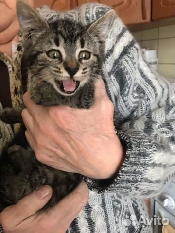 Очаровательная Мисс Шпротинка ждет маму