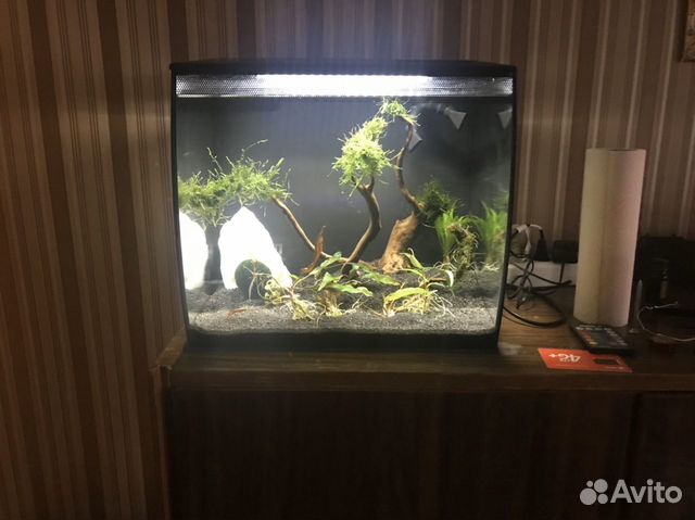 Аквариумный набор Hagen Fluval Flex 34 л