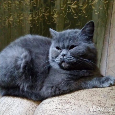 Британская
