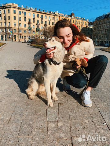 Мальчик хаски в добрые руки