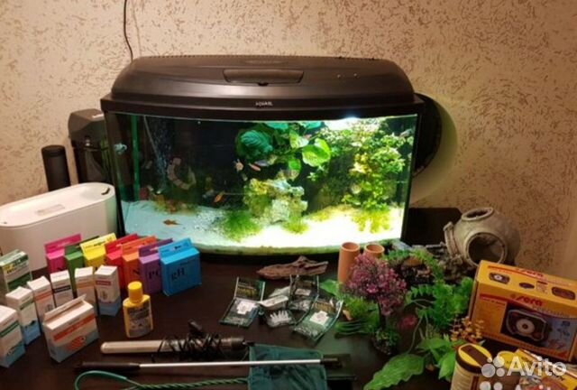 Аквариум / рыбы / растения /аксессуары/ тесты / ак