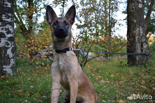 Нереальная красотка