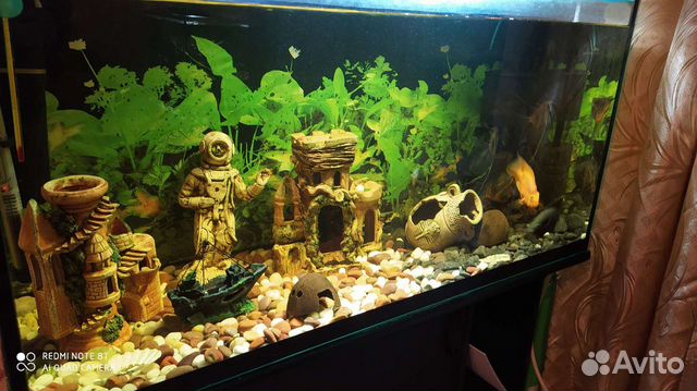 Продам аквариум