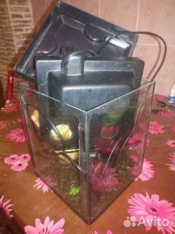 Аквариум для рыбок