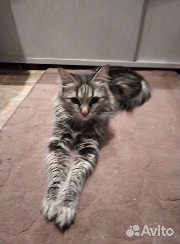 Потерялась