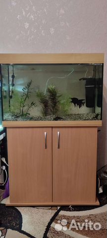 Аквариум с тумбой