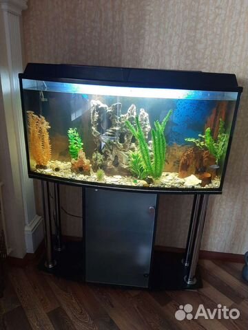 Аквариум