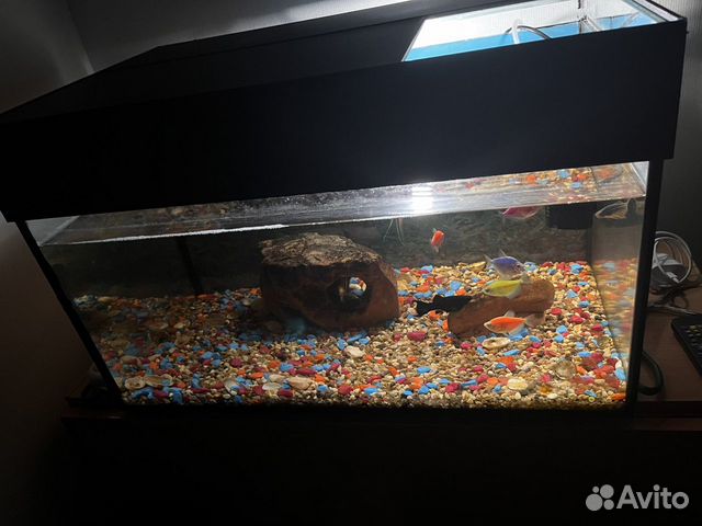 Аквариум с рыбками