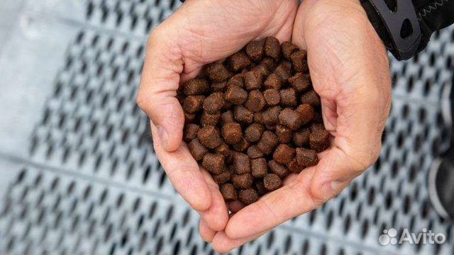 Корм для рыб