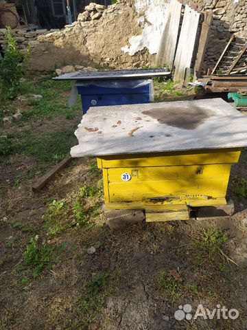 Улей с пчелами