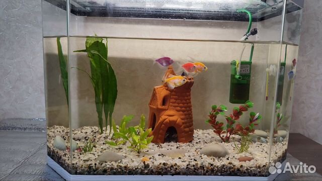 Аквариум на 40 литров
