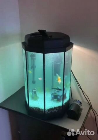 Аквариум с Тумбой, Грунтом и Растениями