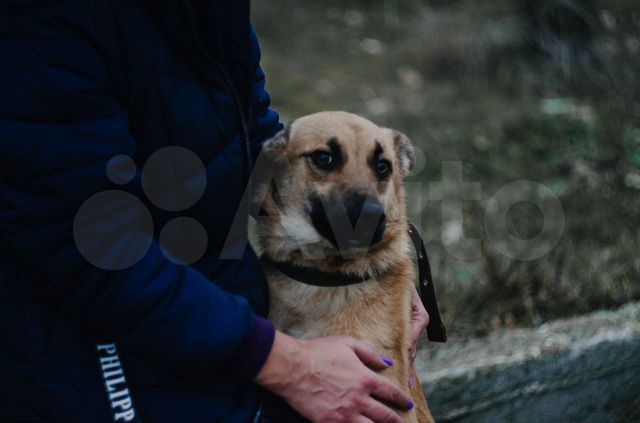 Молодая девочка небольшого размера