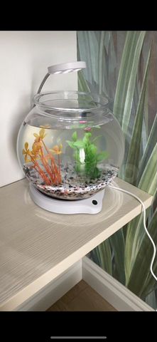 Акварум с подсветкой, грунтом и растениями