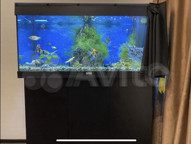 Аквариум Rio 180 LED с тумбой